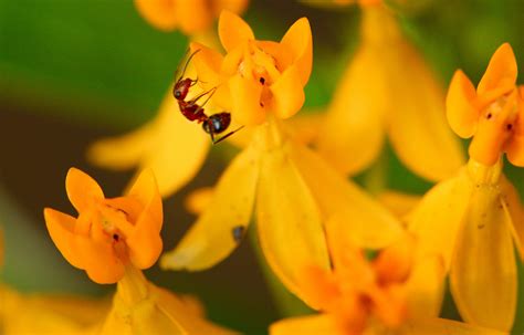 Must Reads Sex Work Opioids Murder Spin Global Comment