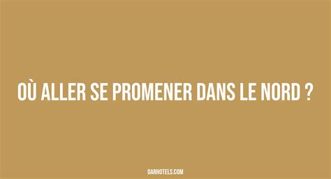 Où Aller Se Promener Dans Le Nord Découvrez Les Plus Beaux Endroits à