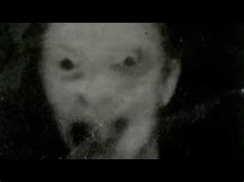 Grimace Shake Incident Compilation Video Evidence Form For The