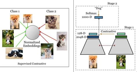 Supervised Contrastive Learning Intel Devmesh Sayak Paul 07192020