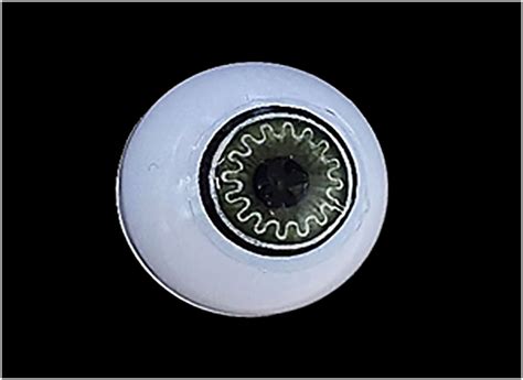 A Novel Technique Allows The Printing Of Circuits Onto Curved Surfaces By Faisal Khan