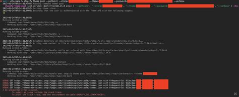 Bug Password Flag Error With `shopify Theme Dev` And `push` Commands