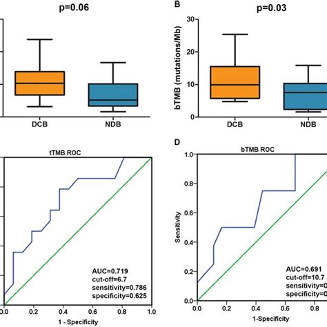 Correlation Between Ttmb And Btmb A Spearman Correlation Between