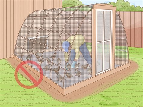 How To Build A Quail Habitat With Pictures Wikihow