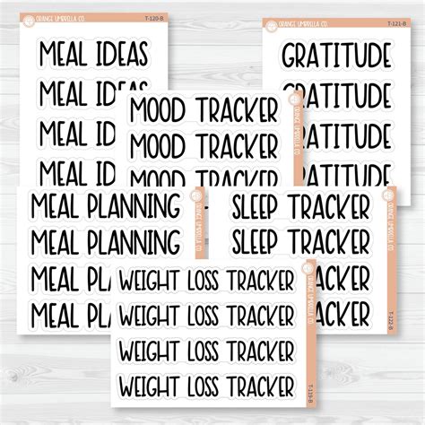 Health Dashboard Header Script Planner Stickers F8 T 119 T 124 Etsy