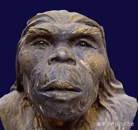 距今170万年前的原始人——云南元谋人 知乎