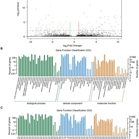 Kegg Pathway Analysis Of Degs From Rna Sequencing Data Of Trim67 In Download Scientific Diagram