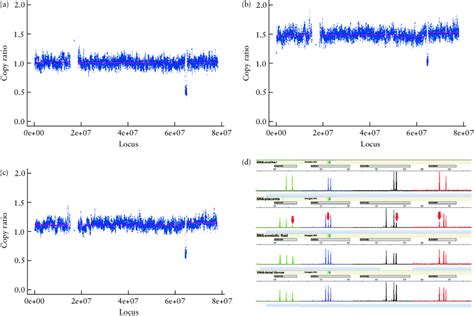 Abc Massively Parallel Sequencing Results Obtained With A Dna