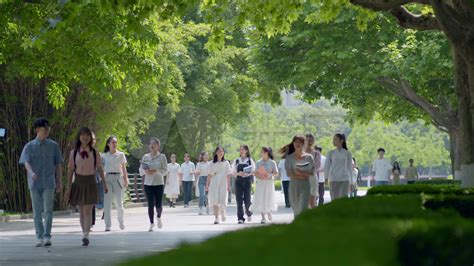 大学校园大学生大学生活行走在林荫道3840x2160高清视频素材下载编号9089772实拍视频光厂vj师网 大学校园大学生大学生活行走在林荫道3840x2160高清视频素材下载编号9089772实拍视频光厂vj师网