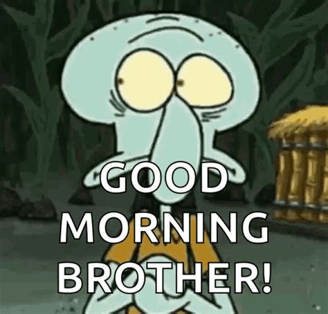 Good Morning Meme Gifs Gifdb Com