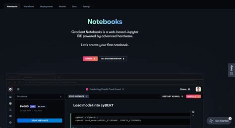 Getting Started With Ipus On Paperspace