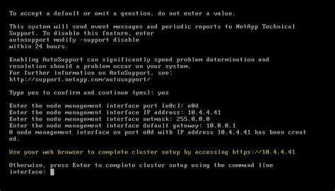 Remote Infrastructure Management Netapp Ontap 91 Cli Cluster Setup