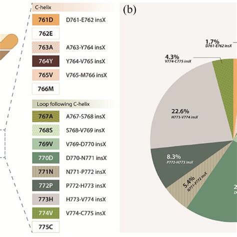 Location Of Egfr Exon 20 Insertion Mutations A And Various Spectrum Download Scientific