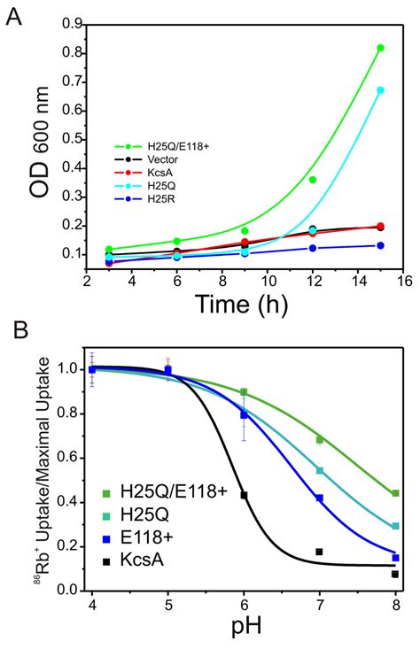 Macroscopic Functional Assays A Lb 2003 E Coli Strain Complementation Download Scientific