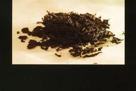 吸附性在六堡茶贮藏过程中的作用