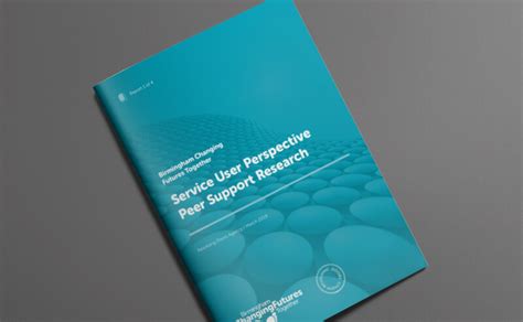 service user perspective peer support research march 2019 bvsc