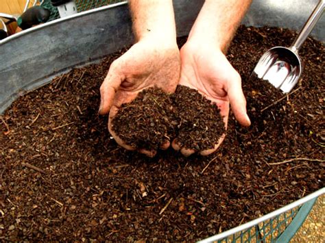El Compost Casero Un Abono Natural Para Nuestras Plantas ~ Jardineríadebalcón ~