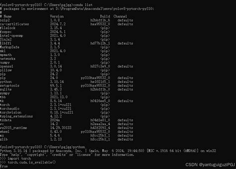 基于cuda121cudnn89pytorch231实现自定义数据集训练 阿里云开发者社区