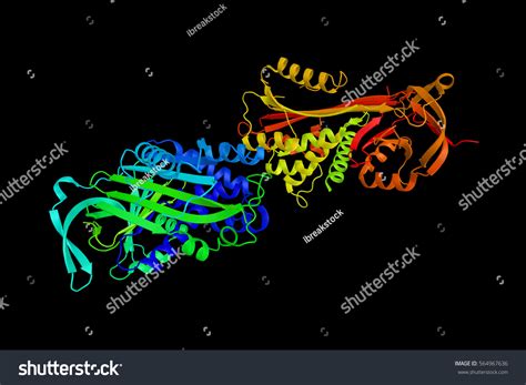 9 Alpha Globulin Bilder Stockfotos Und Vektorgrafiken Shutterstock