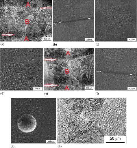 Microstructure Of 3d Printed According Lattice Strategy Material In Download Scientific