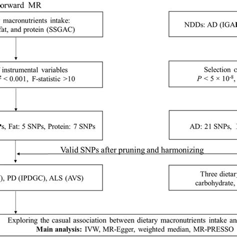 Flowchart Of Our Bidirectional Two Sample Mendelian Randomization Download Scientific Diagram
