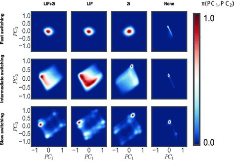 Mapping The Cellular Attractors Of The Genetic Network Under Different Download Scientific