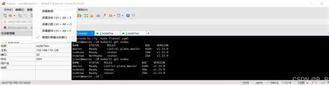 K8s集群node节点加入失败 Preflight Fyi You Can Look At This Config File Csdn博客