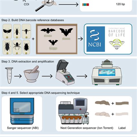 Pdf Added Value Of Metabarcoding Combined With Microscopy For
