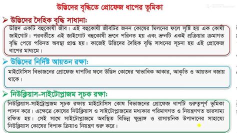 class 8 science assignment solution