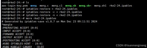 iptables restore 命令介绍和使用案例 csdn博客