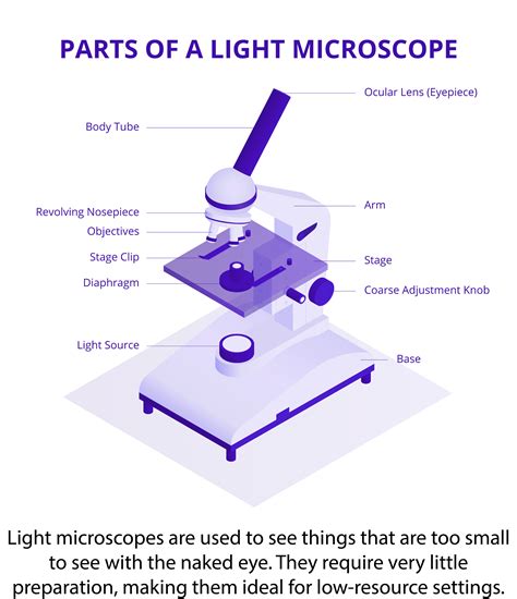 Parts Of A Microscope Labeled