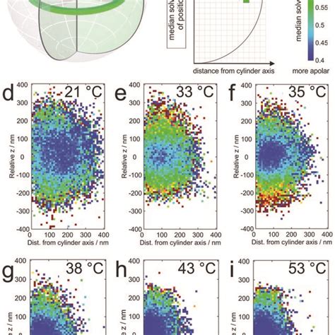 3d Distribution Of Localizations Of A Single Representative Microgel Download Scientific