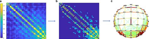 schematic diagram of constructing the correlation matrix between 60