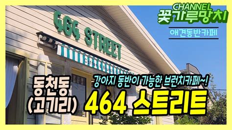 애견동반카페 464 스트리트 동천동 고기리 에 있는 1년도 되지 않은 아늑한 공간 YouTube