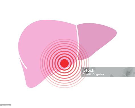 인간의 간 통증 기호입니다 간 통증 아이콘입니다 벡터 그림입니다 인체 통증 통증 점 간 내부 기관에 대한 스톡 벡터 아트 및 기타 이미지 간 내부 기관 건강관리와 의술