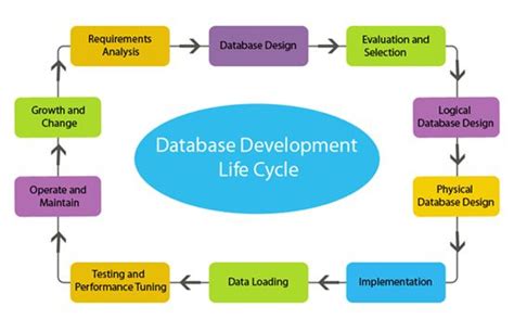 Unit 17 Database Design Concepts Assignment Tom Jerry