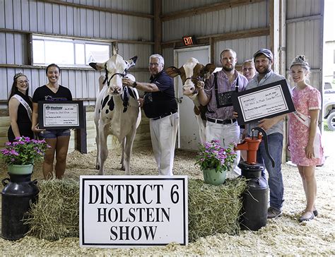 District 6 Holstein Breeders Hold Breed Shows Post Messenger Recorder