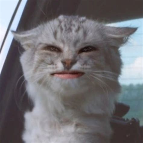 🌺 Grc Crn On Threads