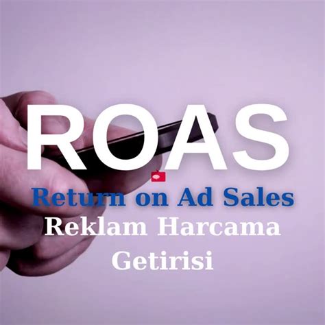 Singularity Software Technologies On Linkedin Esfagrup Ecommerce