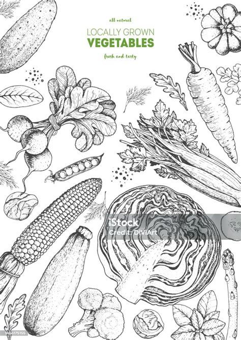 야채 상단 보기 프레임 농부 시장 메뉴 디자인 템플릿 유기농 야채 음식 포스터 빈티지 손으로 그린 스케치 벡터 일러스트 라인 아트 그래픽 각인 된 스타일 아스파라거스에 대한