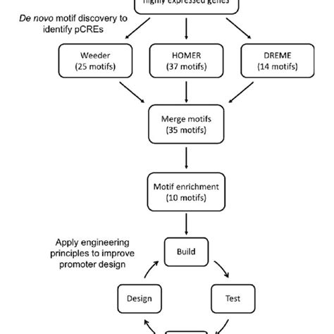 Putative Cis Regulatory Element Pcre Discovery And Testing Workflow