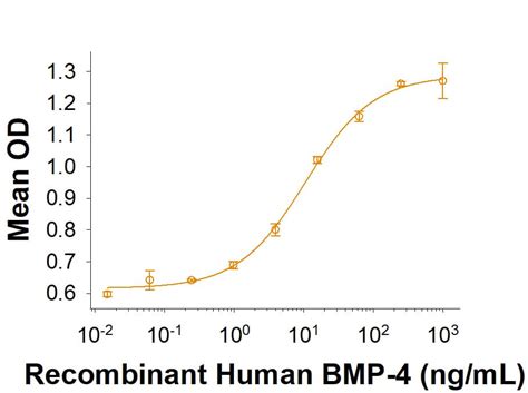 Recombinant Human Bmp 4 Protein 314 Bp Bio Techne