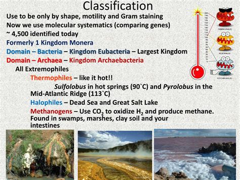Ppt Chapter 27 Prokaryotes Powerpoint Presentation Free Download Id2234899