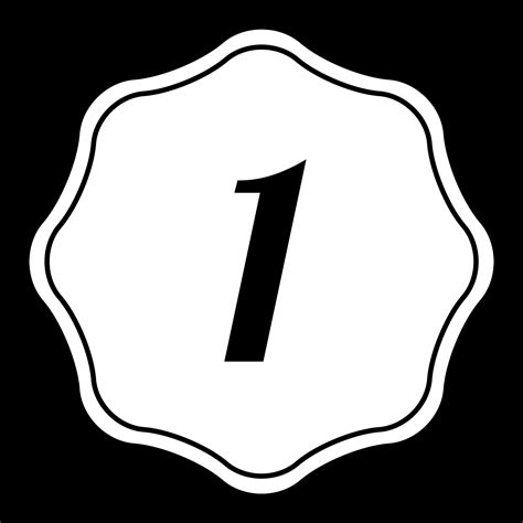 Laura Star Steam Ironing