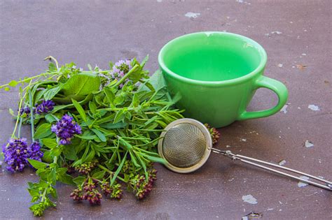 향기로운 지중해 허브 민트 레몬 밤 오 레가 노 라벤더 허브 차를 양조에 대 한 백 리 향 0명에 대한 스톡 사진 및 기타 이미지 Istock