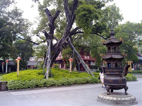散文家园禅语 光孝寺 江山文学网