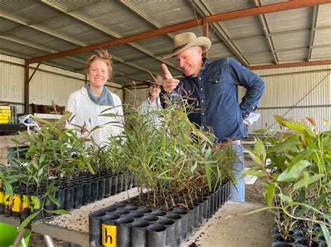 Practical 5 Linear Models Analysis Of Variance Anova Sampling