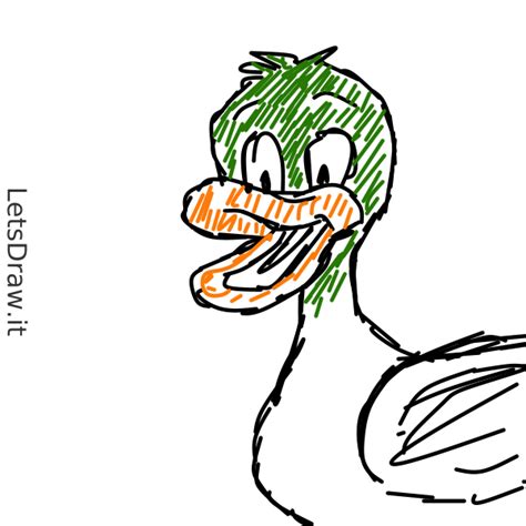How To Draw Duck Kc Qpfwej Png LetsDrawIt