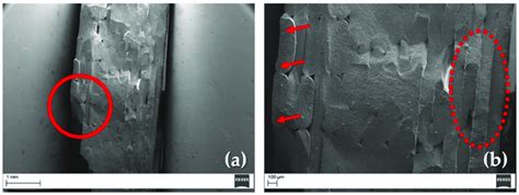 Sem Analysis Of The Sintered Samples Fracture Surface A Initial