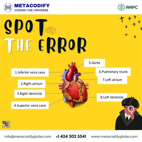 Metacodify On Linkedin Medicalcoding Anatomychallenge Metacodify